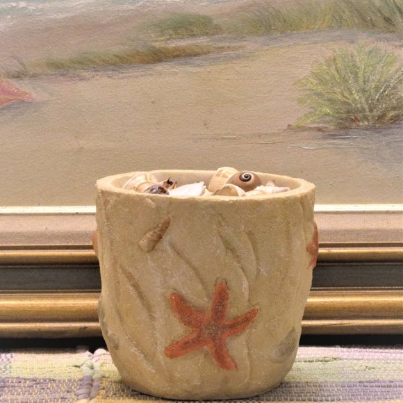 Accents | Container Full Of Sea Shells | Poshmark